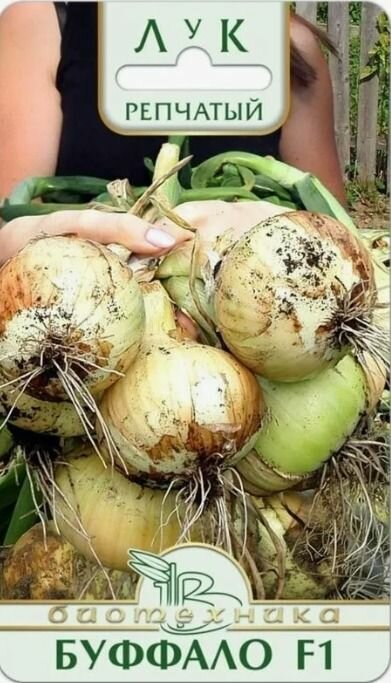 Семена Лук репчатый Буффало F1 Биотехника