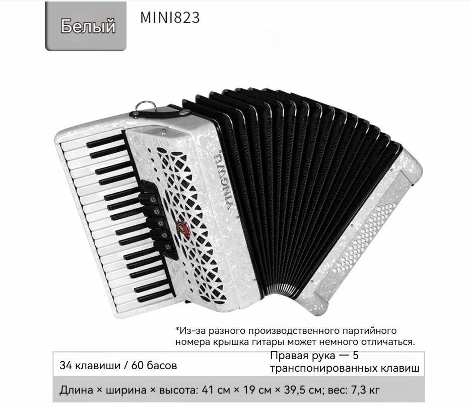 Аккордеон 34 клавиши 60 басов-детский аккордеон для взрослых