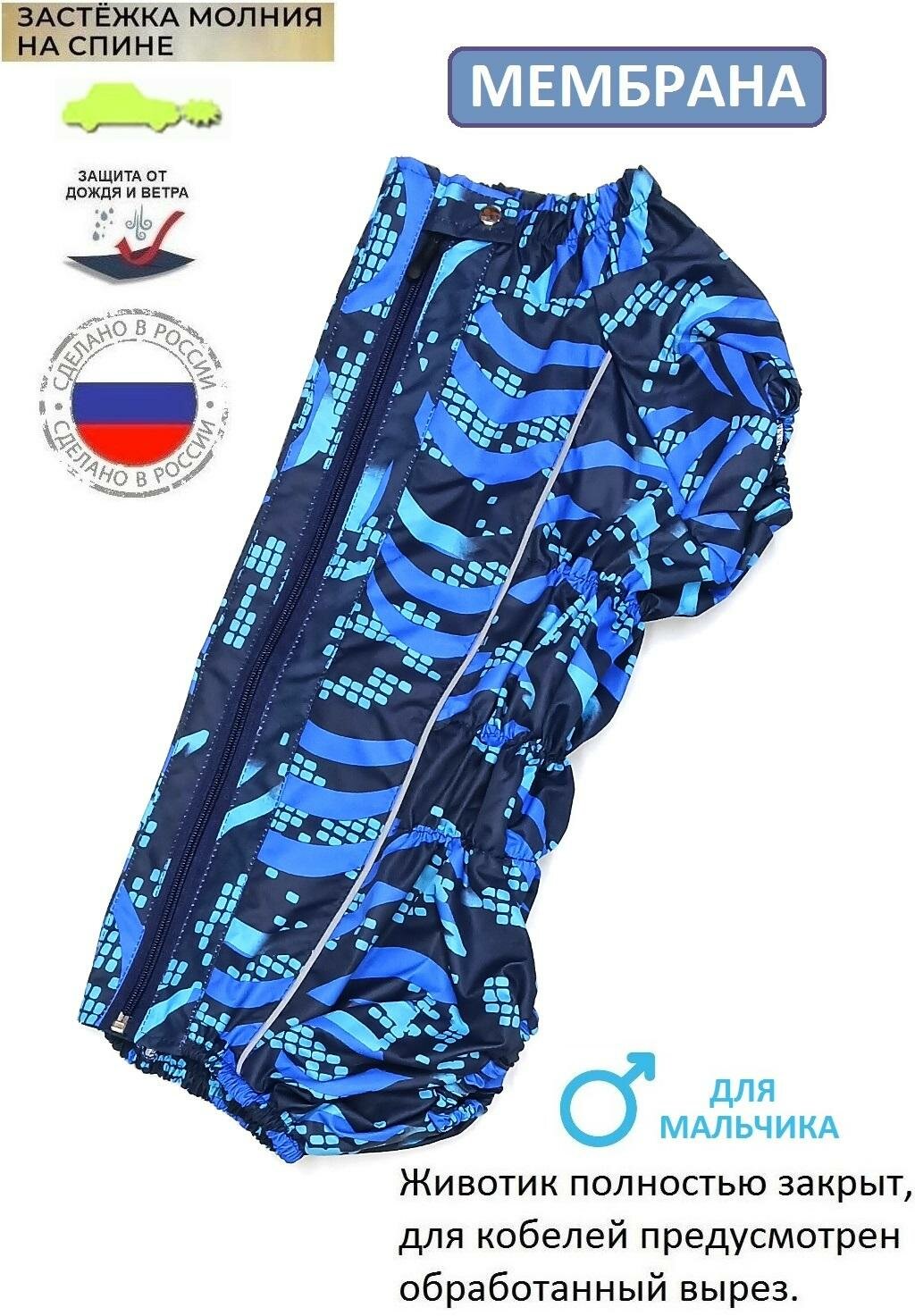 Комбинезон-дождевик для корги на грязь, мембрана. Мальчик (45см мальчик)