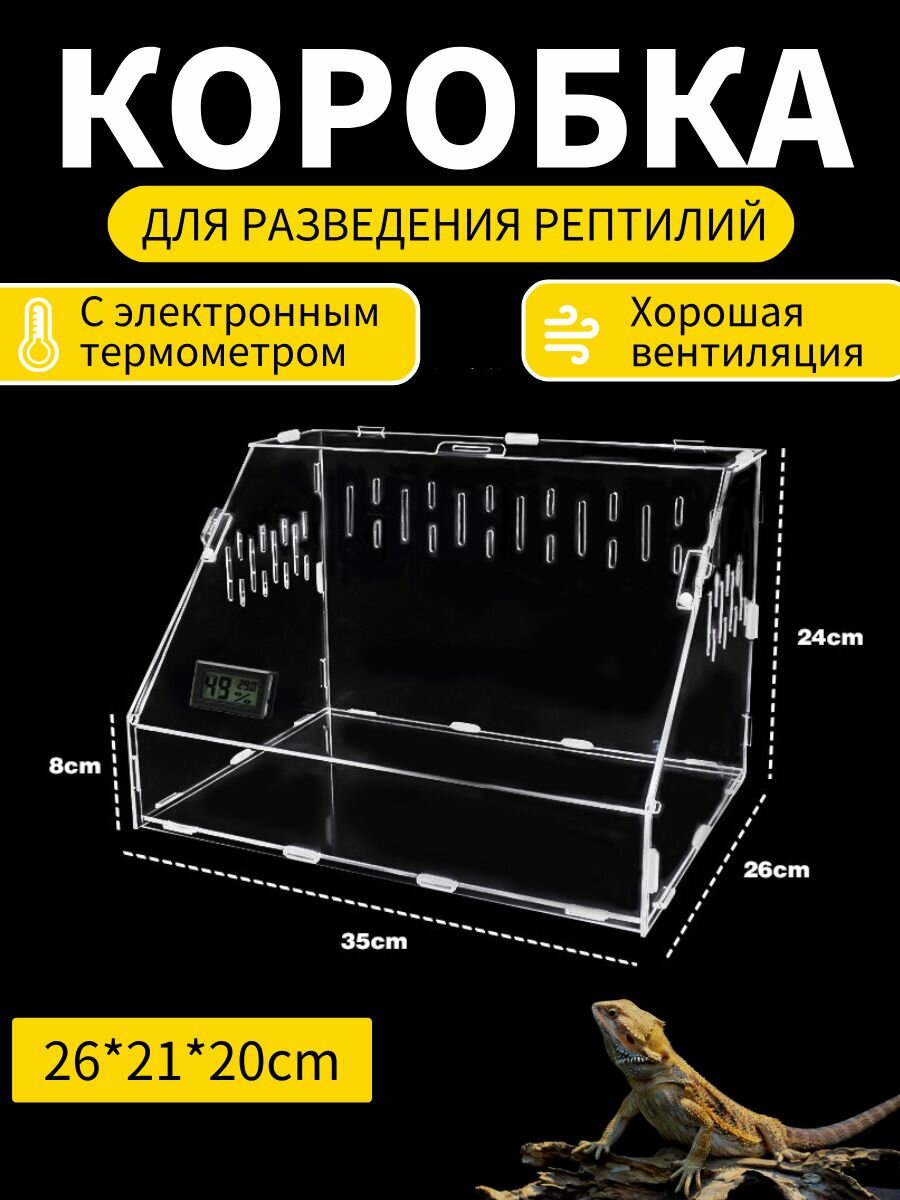 Акриловый террариум для рептили, Коробка разведения рептилий, с магнитной пряжкой, прозрачная и видимая.