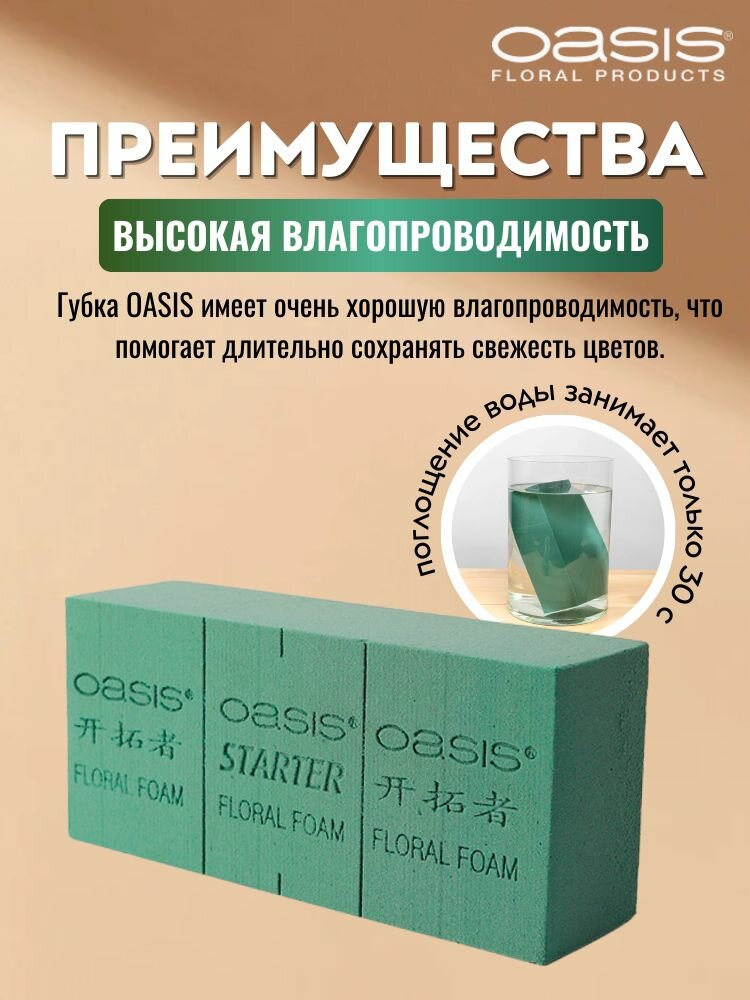 Флористическая губка — фото 1