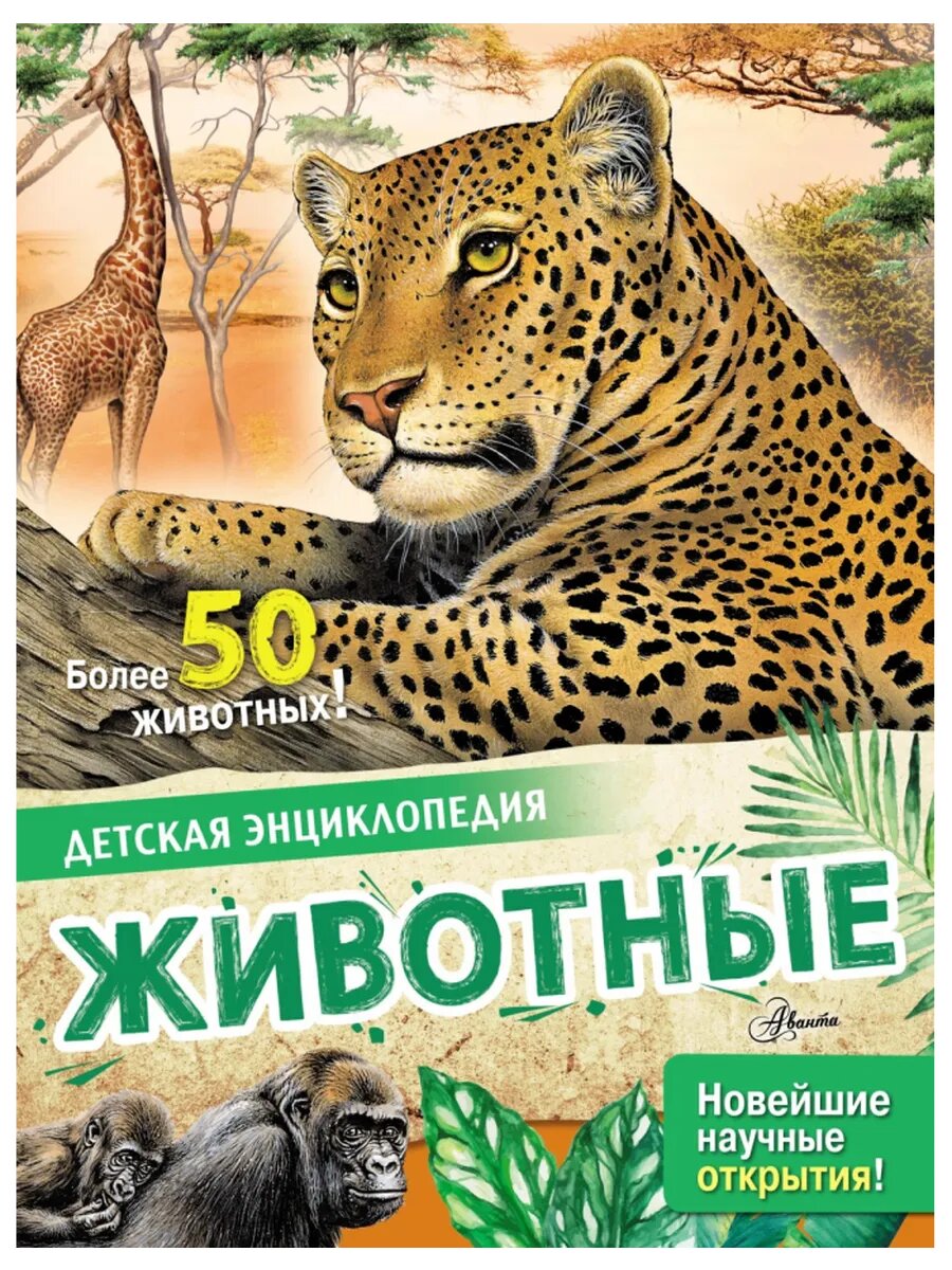 Животные