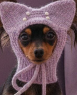 Шапочка для маленькой собачки, связана из пряжи пух норки, украшена бусинками в красивом лавандовом цвете