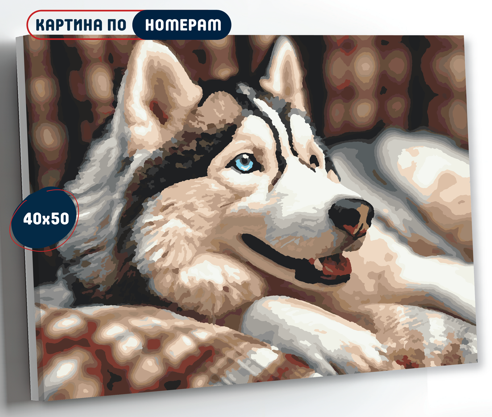 Картина по номерам "Хаски", Холст на подрамнике 40х50, набор для рисования, с животными