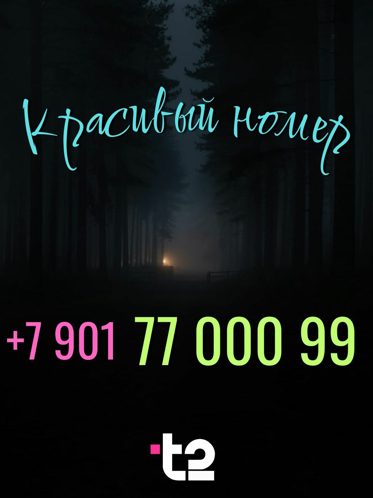 Сим-карта
