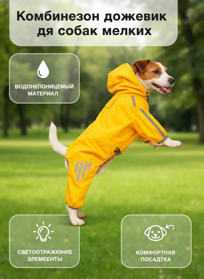 Комбинезон дождевик для собак мелких пород йорк чихуахуа той терьер шпиц желтый водоотталкивающий полиэстер на кнопках с поясом демисезон