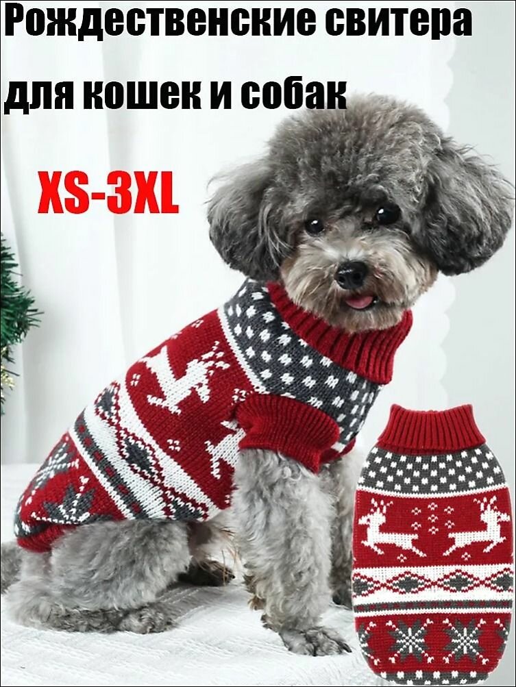 Одежда для животных XL