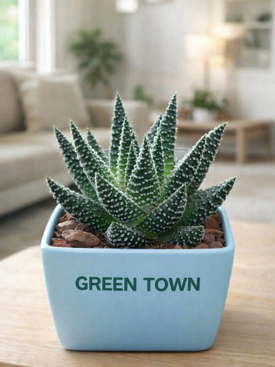 Саженец GREEN TOWN Хавортия Роял Альберт, многолетнее, уникальный дизайн