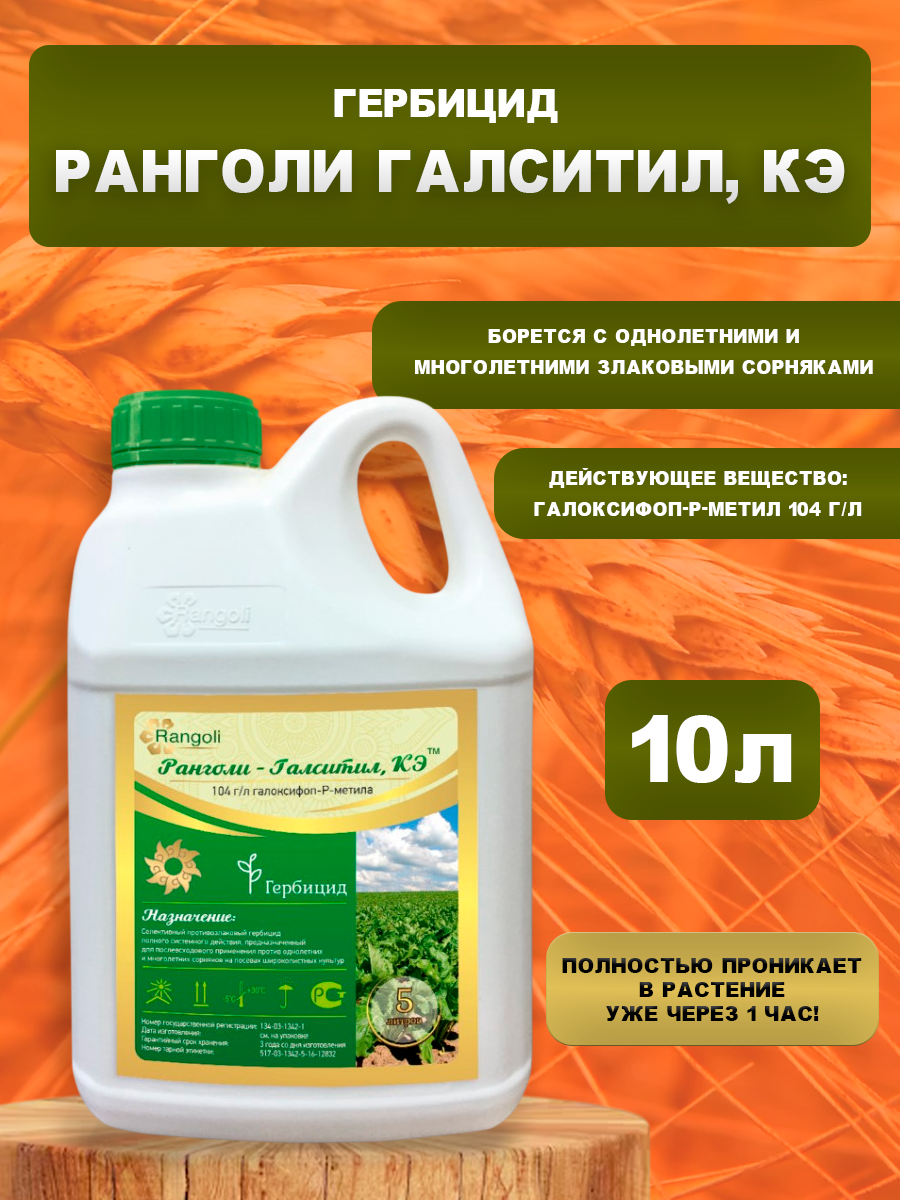Ранголи Галситил, КЭ 10л, системный селективный послевсходовый гербицид