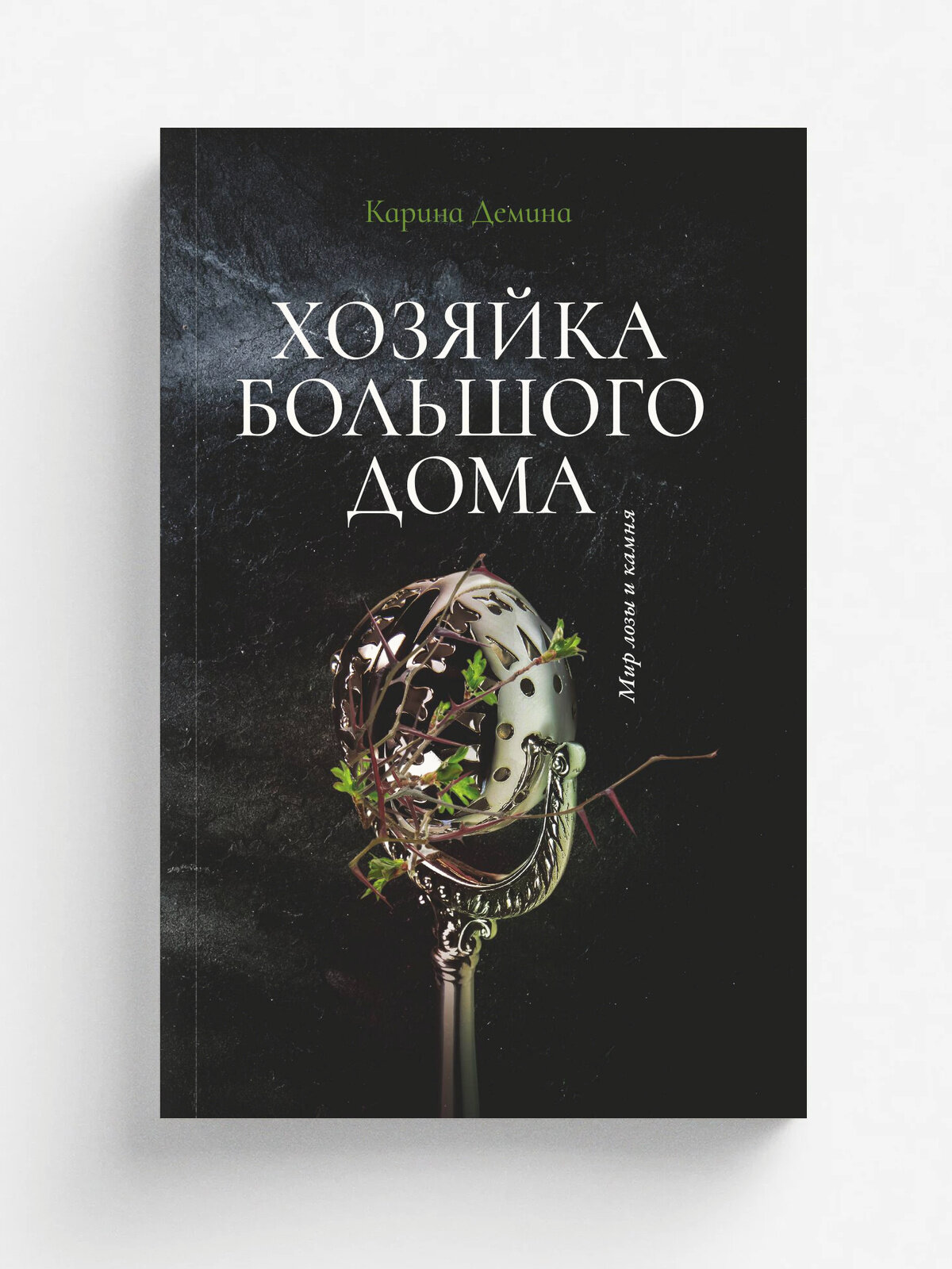 Хозяйка большого дома