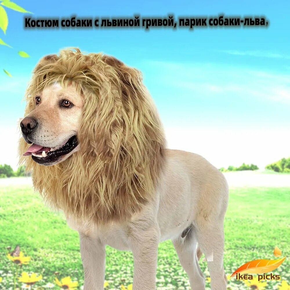 Костюм собаки с львиной гривой, львиный парик