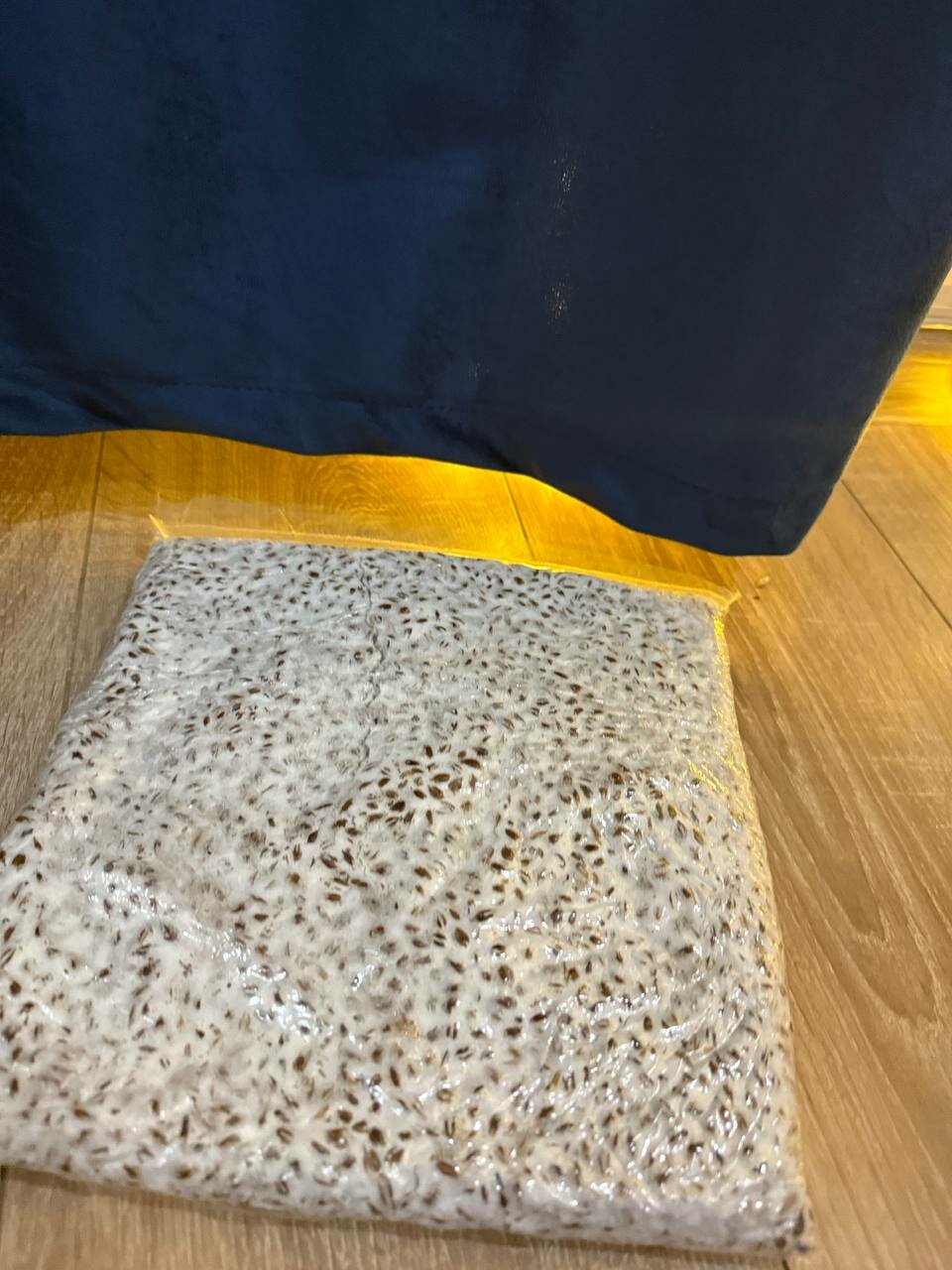 Мицелий вешенки зерновой (штамм К17)- 1 кг. Мицелий 1 кг