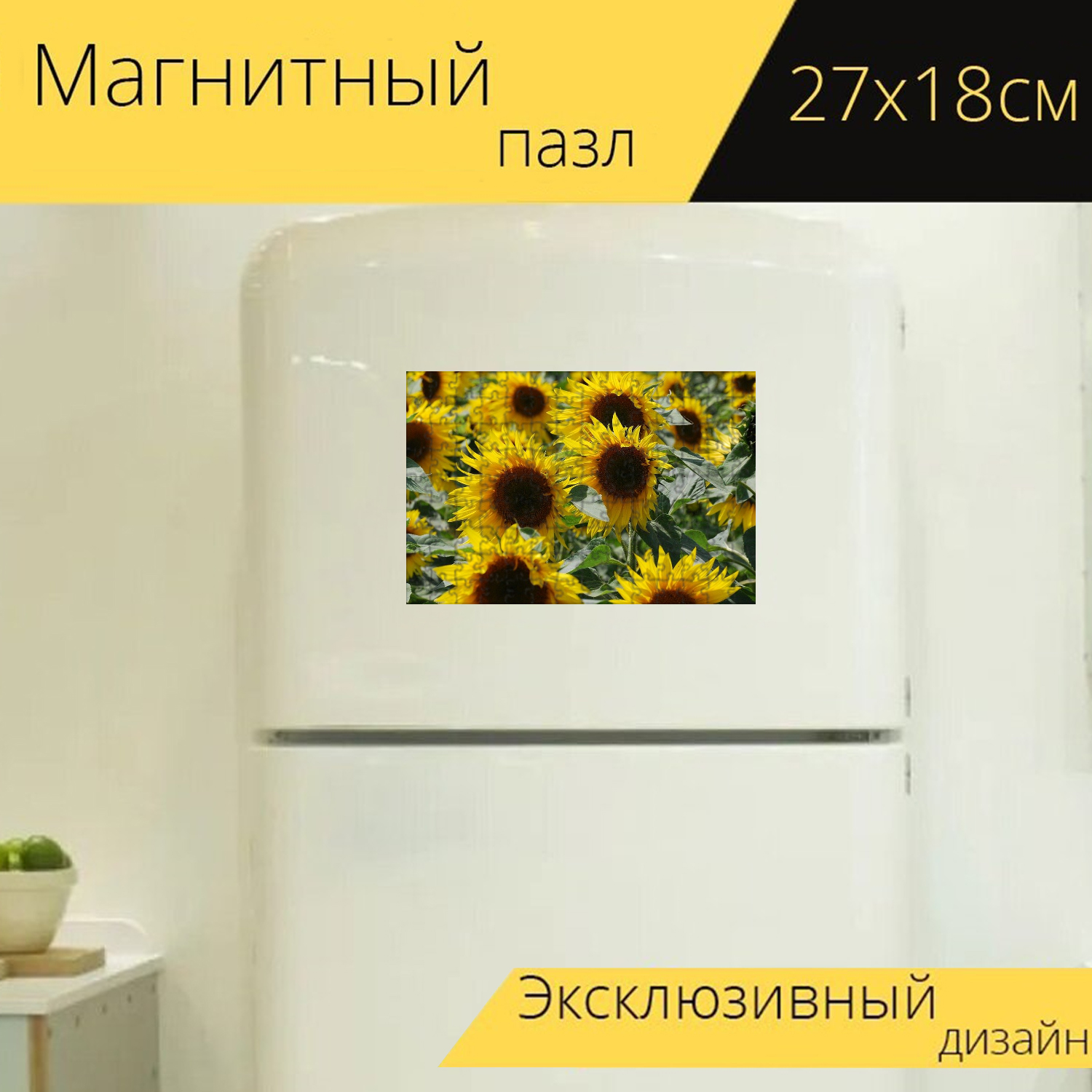 Магнитный пазл "Подсолнечник, helianthus annuus, желтый" на холодильник 27 x 18 см.