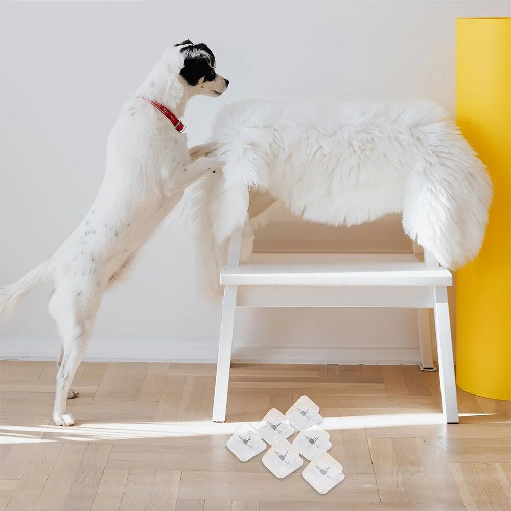 Держатель для собачьих тренировочных пеленок прозрачный с антискользящим основанием для собак