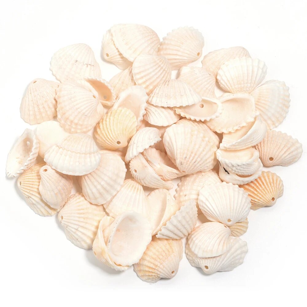Бежевые ракушки-улитки бусины, Small Hole(28pcs)
