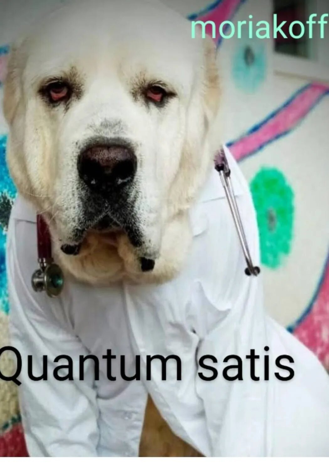 Quantum satis [Цифровая книга]