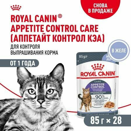 ROYAL CANIN APPETITE CONTROL CARE 28 шт по 85 г влажный корм, мелкие кусочки в желе для взрослых кошек, для контроля выпрашивания корма