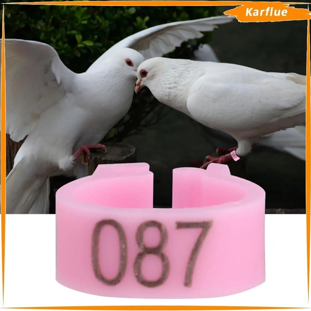 Голубиные Кольца