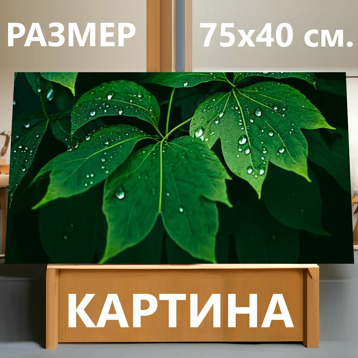 Картина на холсте "Листья темно-зеленого цвета с каплями воды на поверхности, крупный план, натуральный фон, тени и текстуры листьев." на подрамнике 75х40 см. для интерьера