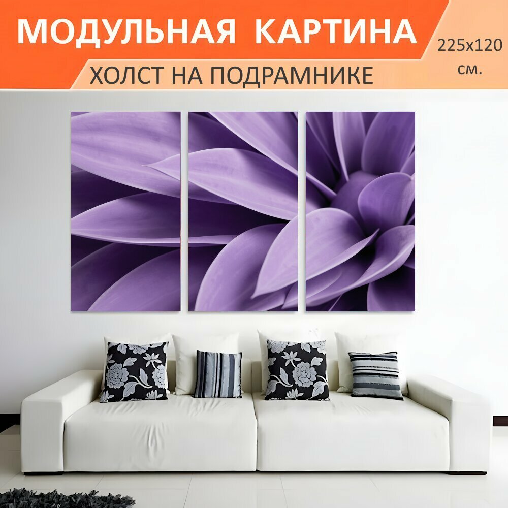 Модульная картина на холсте "Лиловый цветок крупным планом. Макросъемка нежных лепестков в сиренево-фиолетовой гамме, абстрактная." триптих на подрамнике 225х120 см. для интерьера