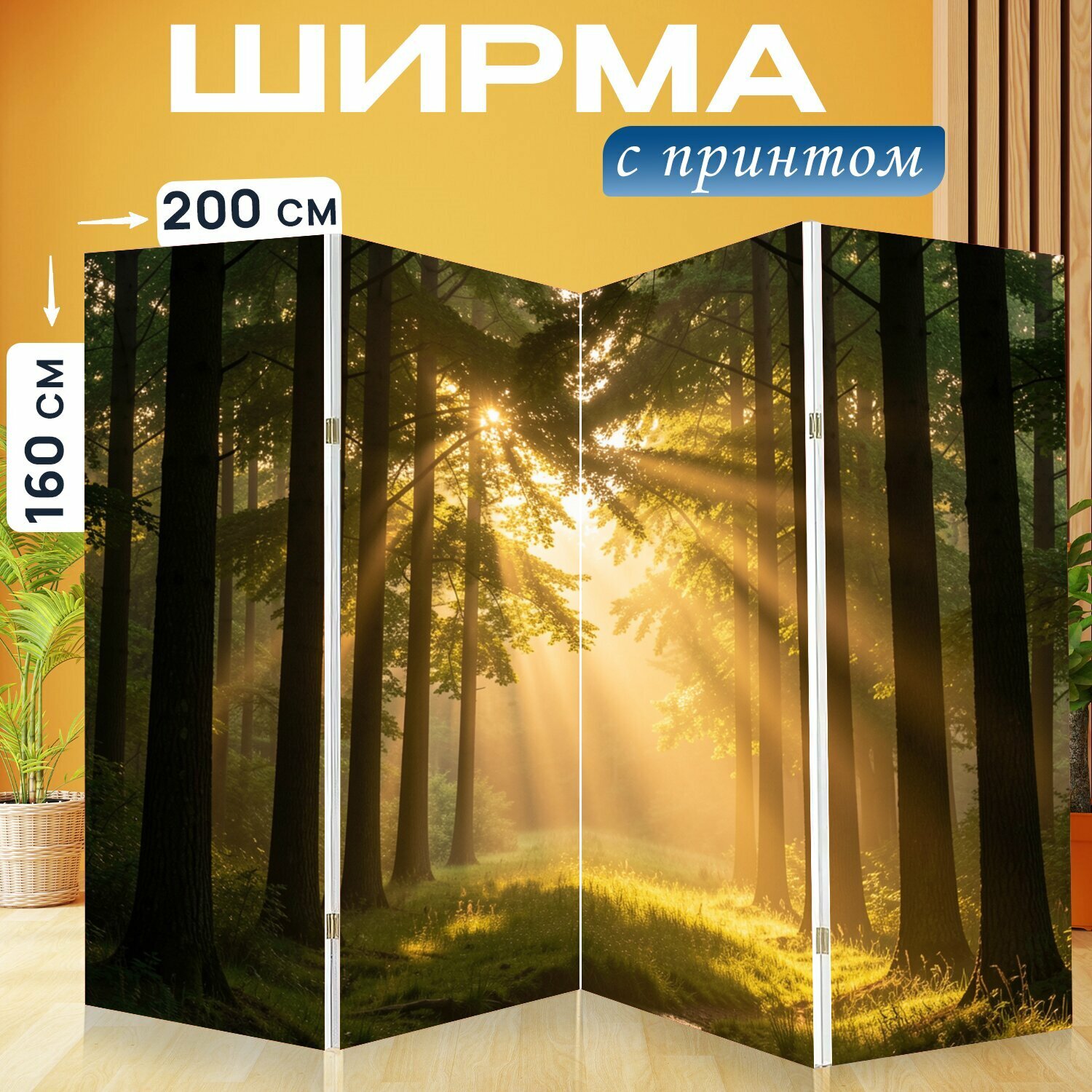 Ширма "Лес с солнечными лучами. Таинственный хвойный массив в утреннем тумане, сквозь высокие стволы." перегородка для зонирования комнаты с принтом 200x160 см. на холсте