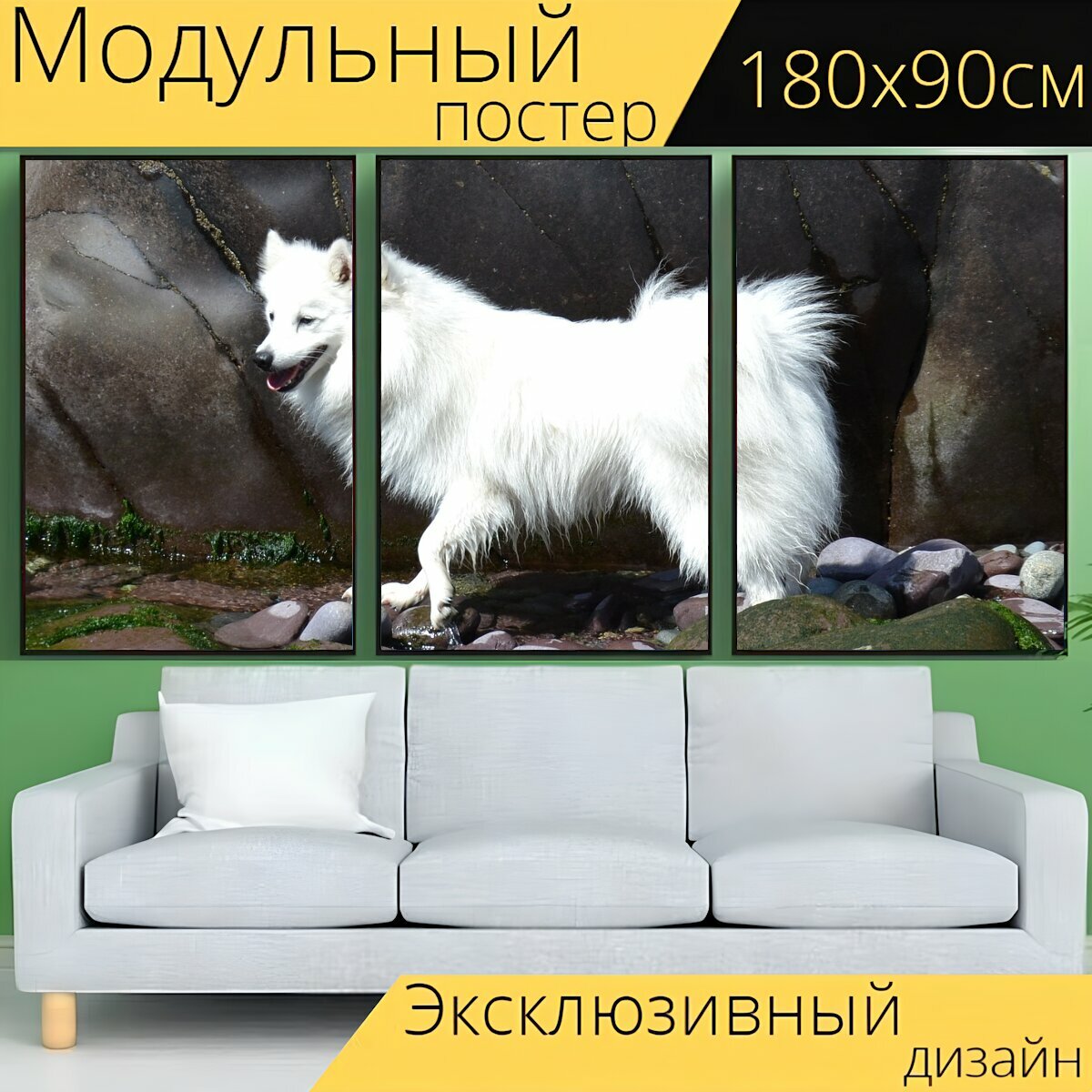 Модульный постер "Японский, шпиц, белый" 180 x 90 см. для интерьера на стену в тубусе