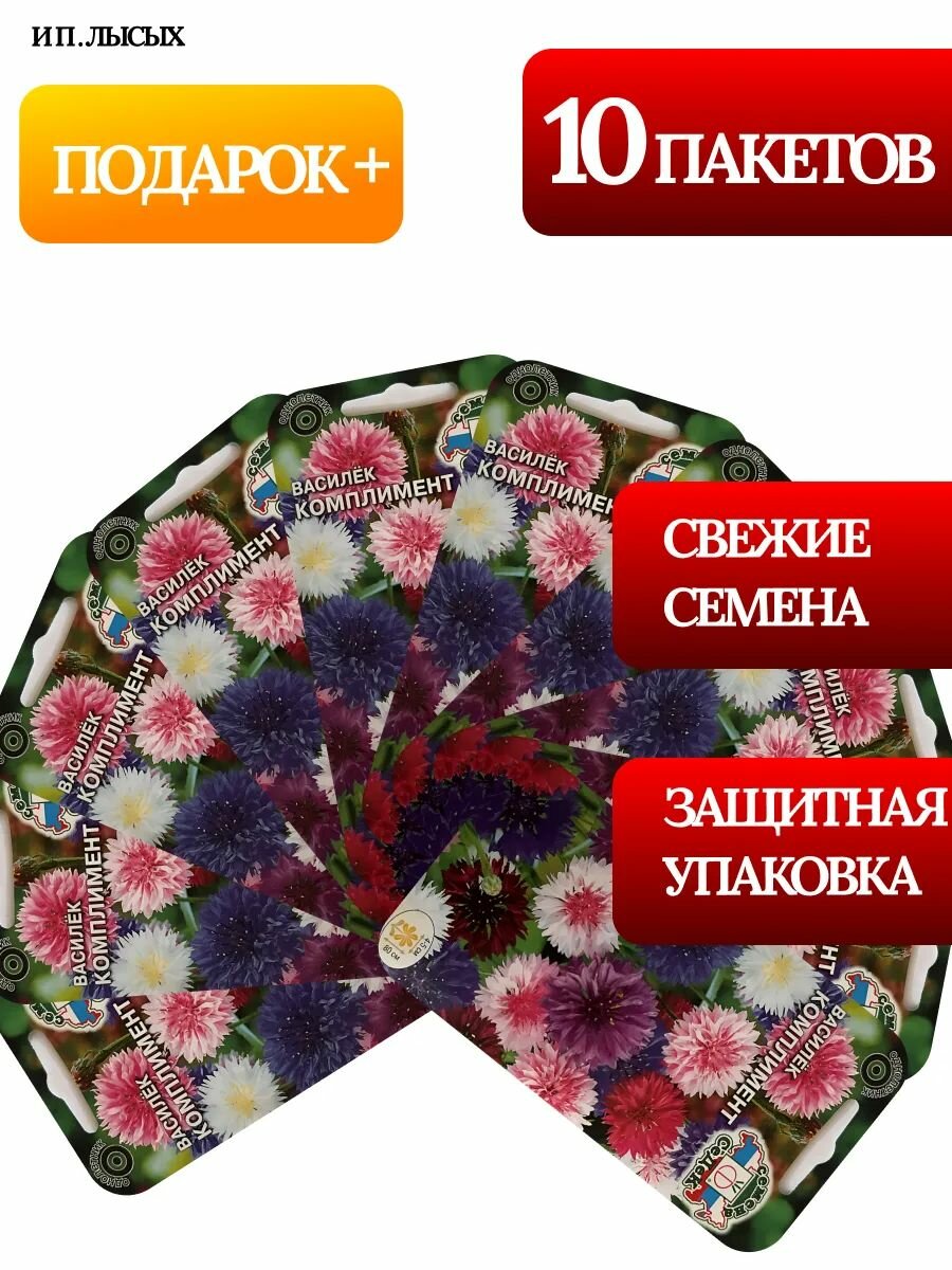 Семена Василек "Комплимент"