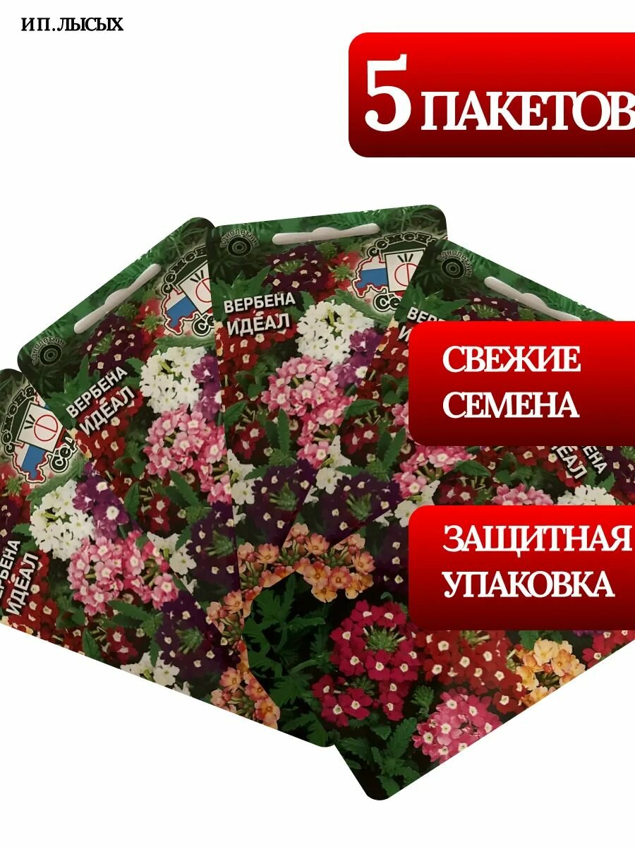 Семена Вербена "Идеал"