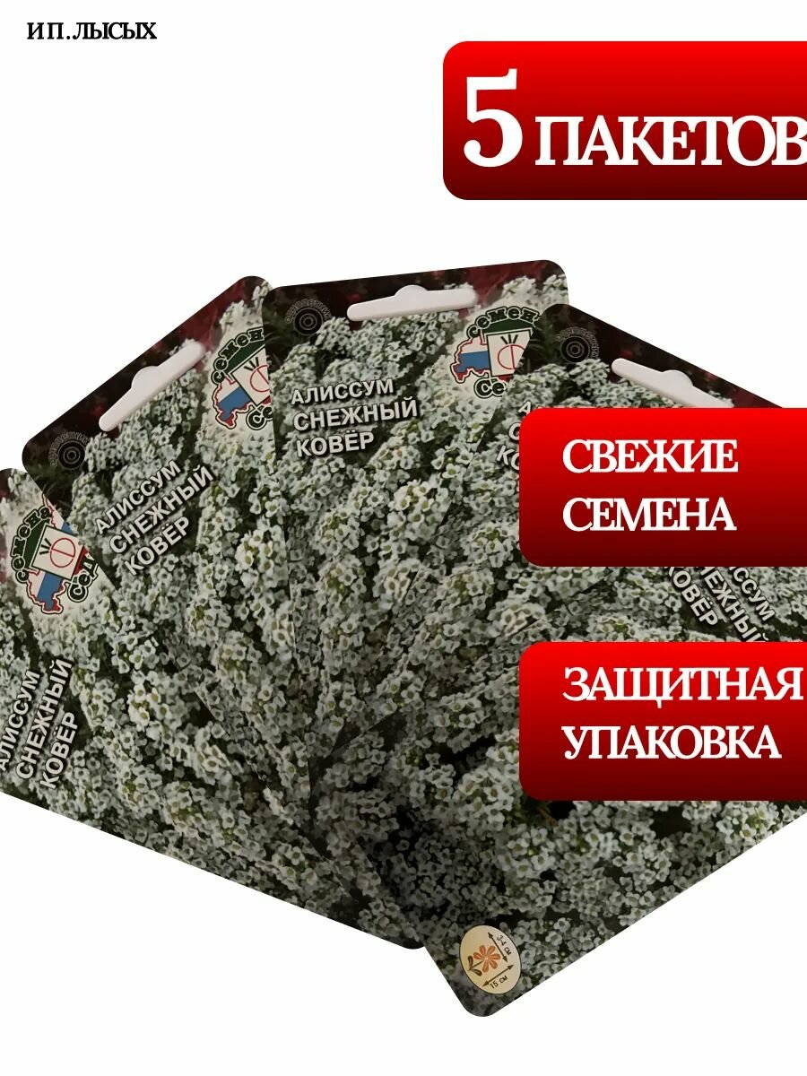 Семена Алиссум "Снежный Ковер"