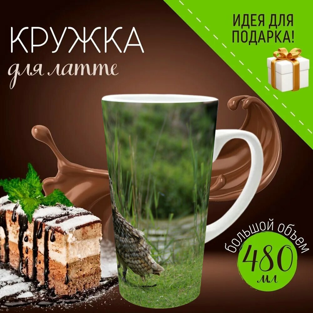 Кружка латте керамическая большая для чая и кофе с прикольным принтом "Hoenderdaell, рок филин, сова" 500 мл.