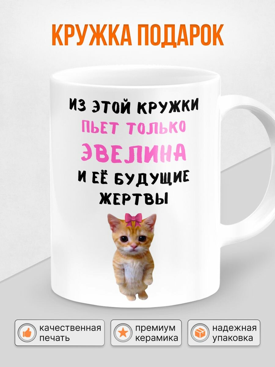 Кружка с приколом с котиком с именем Эвелина, 330 мл, 1 шт.