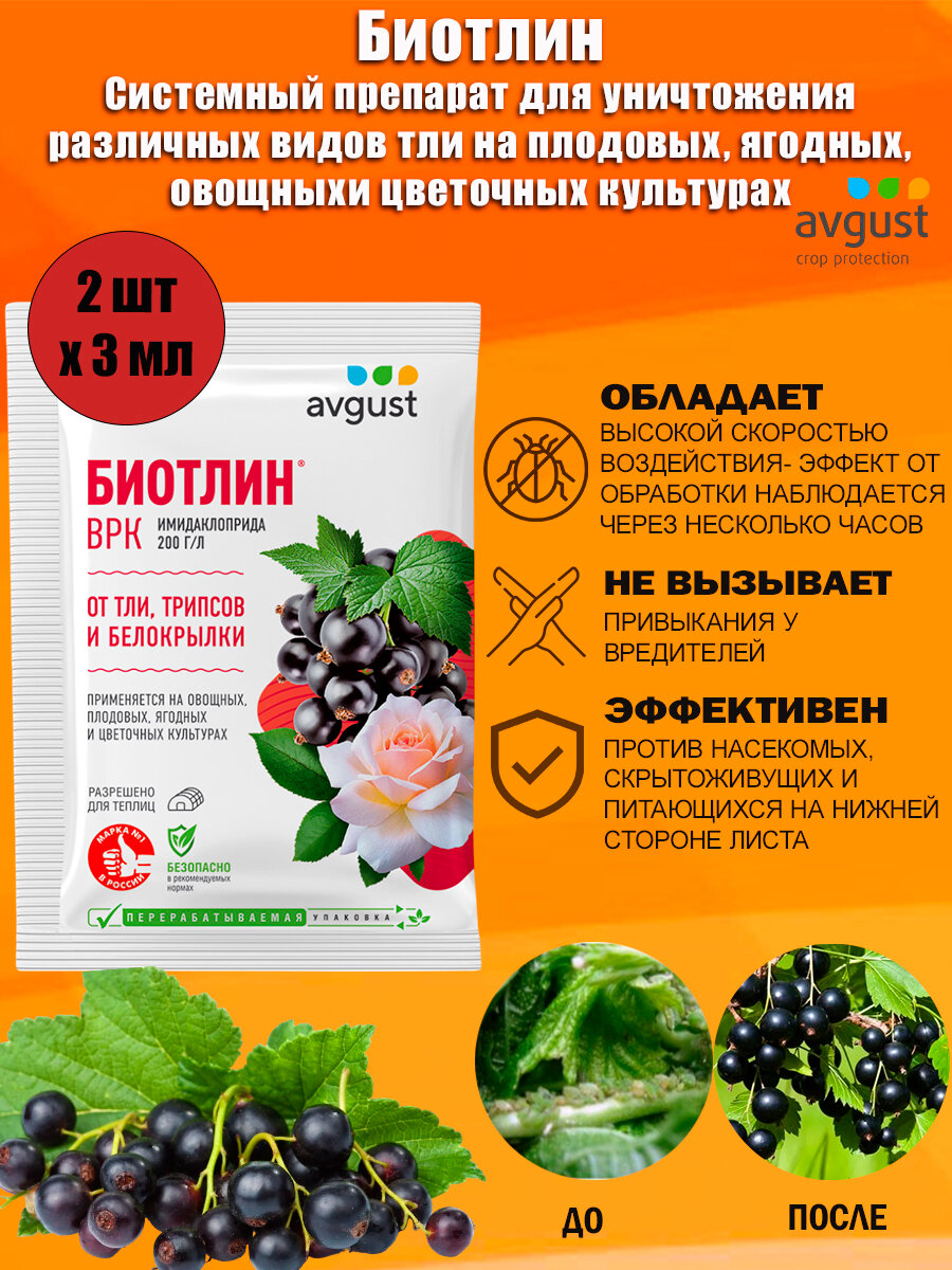 Системный препарат от тли, белокрылки, трипсов Avgust Биотлин, 3 мл