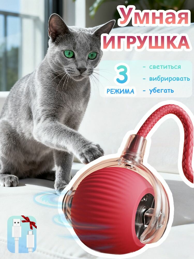 Интерактивная мяч-головоломка для кошек и собак с функцией автозапуска