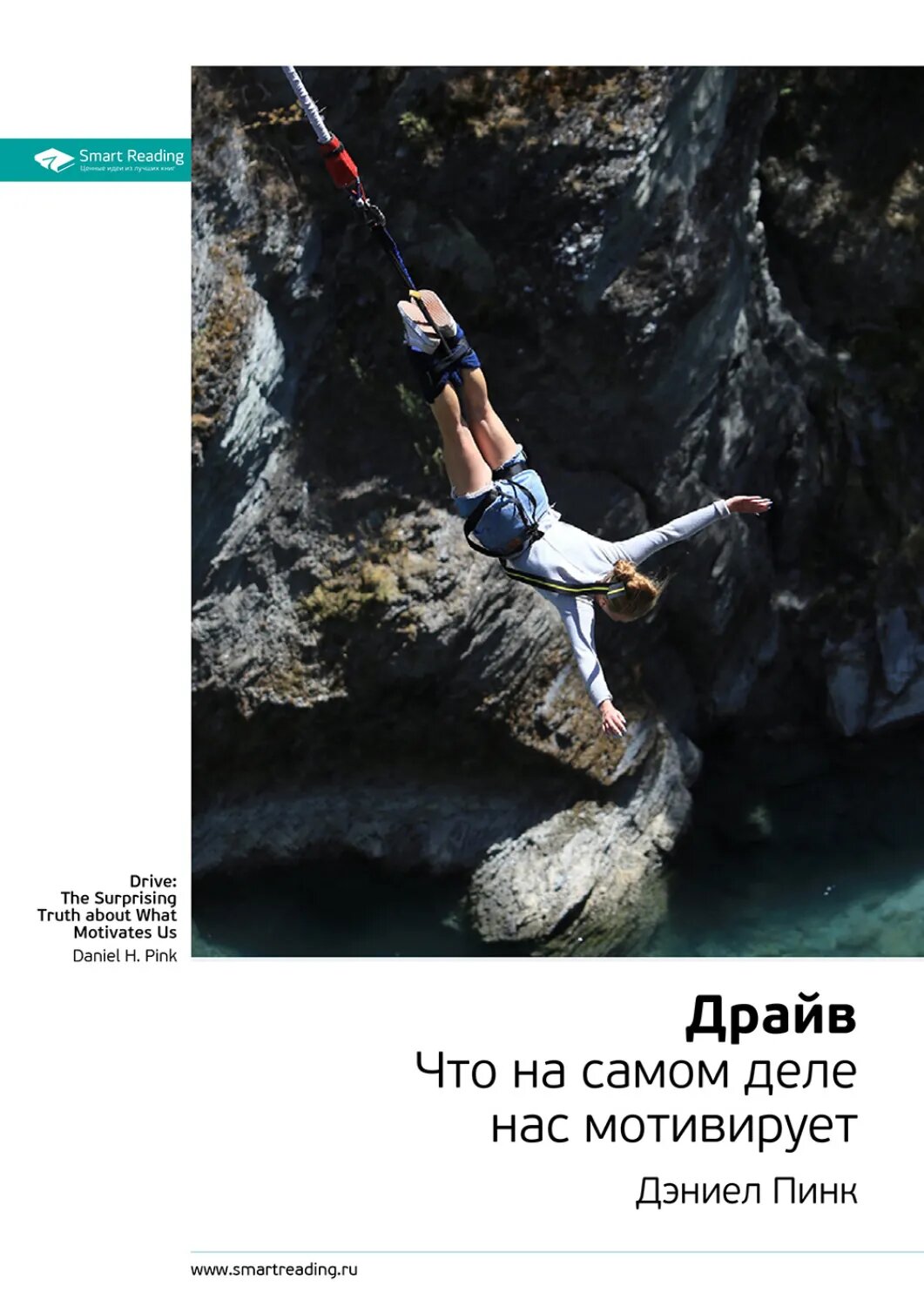Ключевые идеи книги: Драйв. Что на самом деле нас мотивирует. Дэниел Пинк [Цифровая книга]