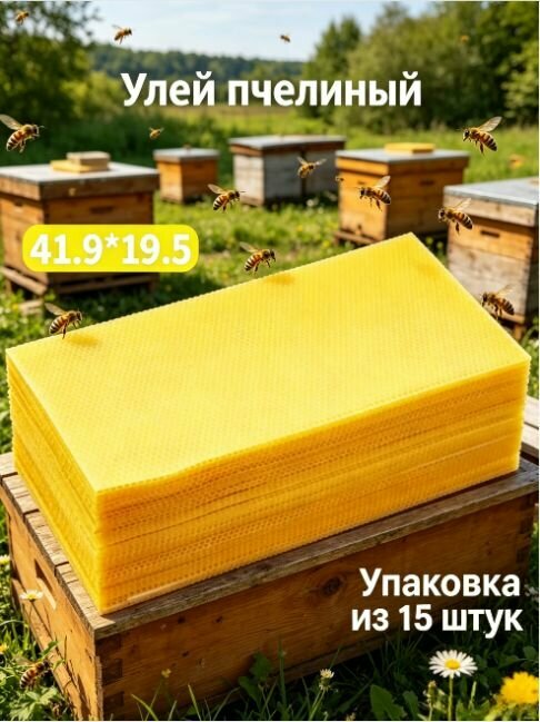 Вощина Рутовская козкар