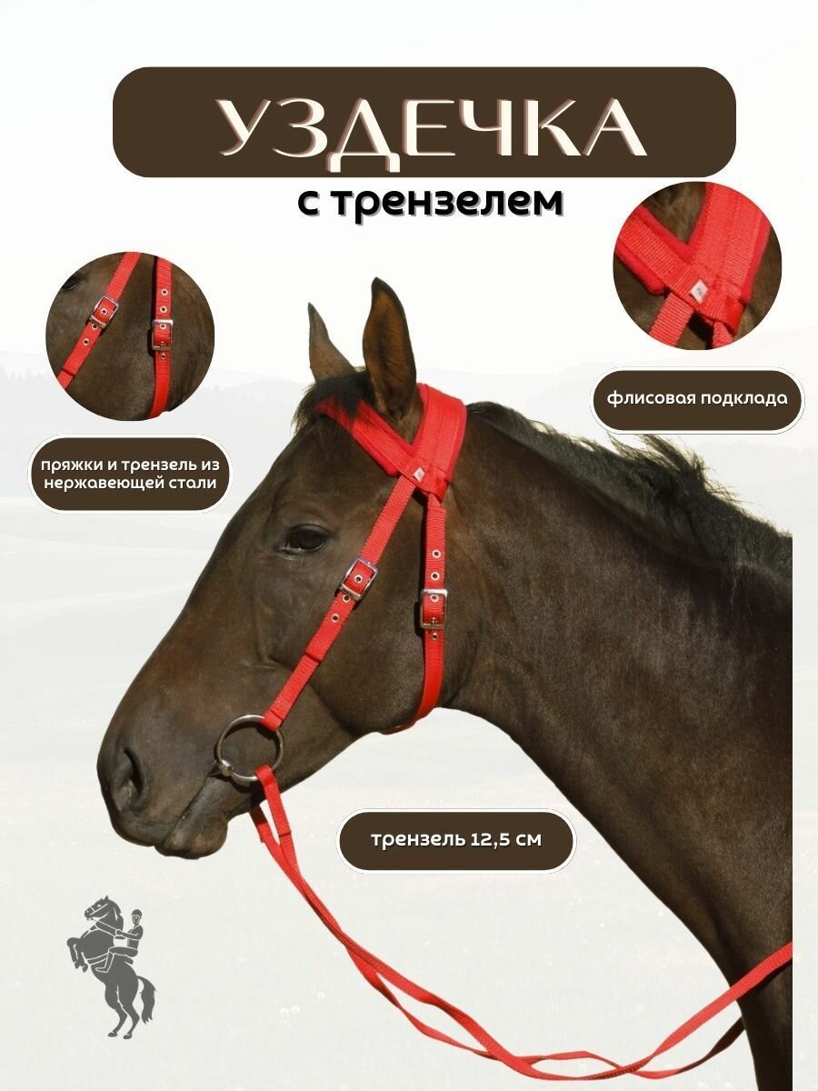 Sweethorse / Уздечка с трензелем и поводом для лошади