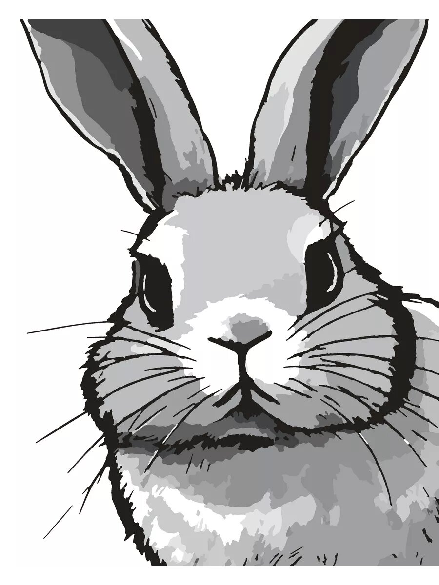 Картина по номерам Кролик 40х50 см