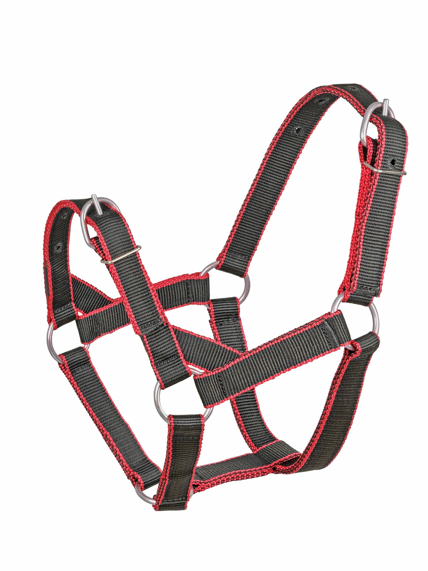 Недоуздок для жеребят регулируемый 25 мм