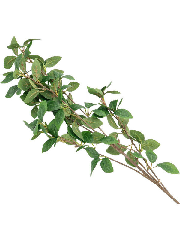 Ветка зеленая, 90см, Фикус, 5 веток