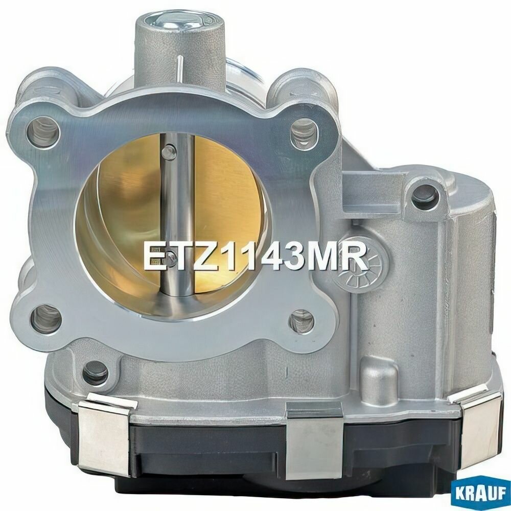 Дроссельная заслонка, для Шевроле Кобальт T250, Дэу Джентра, Равон R4 арт ETZ1143MR