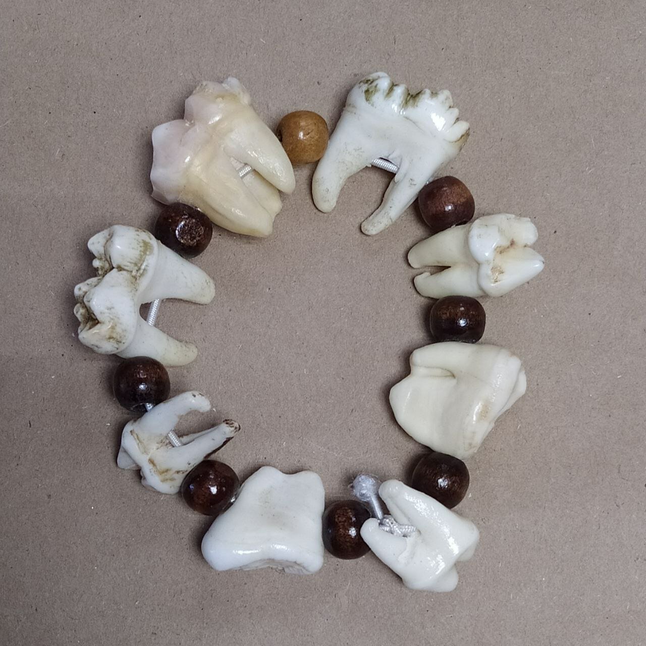 Браслет, натуральная кость