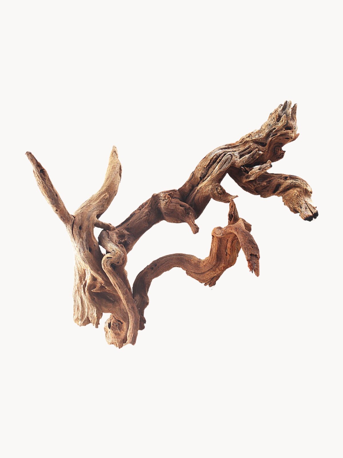 Декорация природная Prime Коряга затонувшая XS 10-20 см