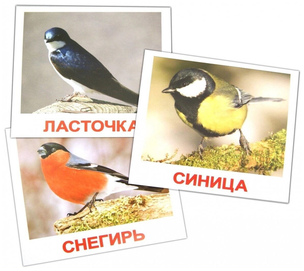 Обучающие карточки Вундеркинд с пелёнок "Птицы", 15 карточек Домана с фактами