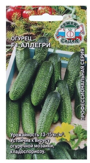 Семена Огурец Аллегри F1 8шт Партенокарпический Ранние (Седек)