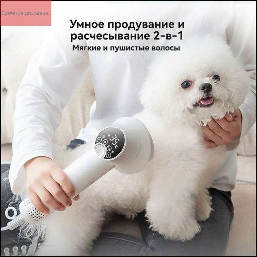 Эксклюзивный фен 2026 для быстрой сушки и укладки белой шерсти домашних животных