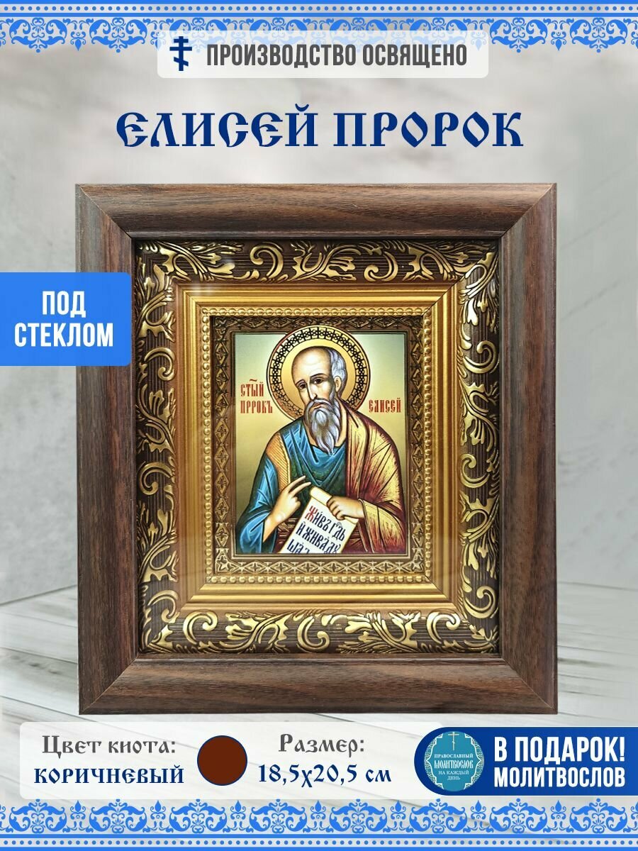 Икона Елисей Пророк, в киоте за стеклом 18,5х20,5см