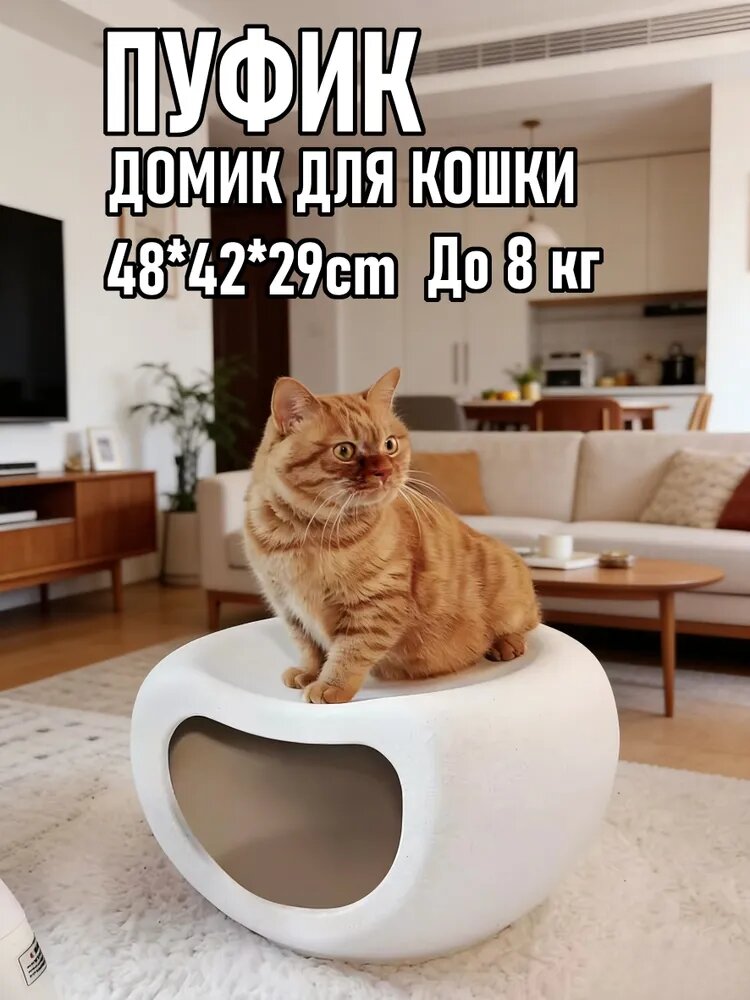 Прочный пластиковый стул-лежанка для кошек и собак, гнездо с высокими бортами, лунное окно, гнездо для сна питомца