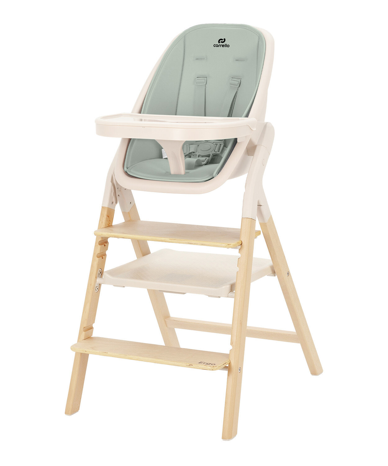 Стульчик для кормления-трансформер Carrello Ergo, цвет Elora Green (Оливковый), артикул производителя CRL-16701