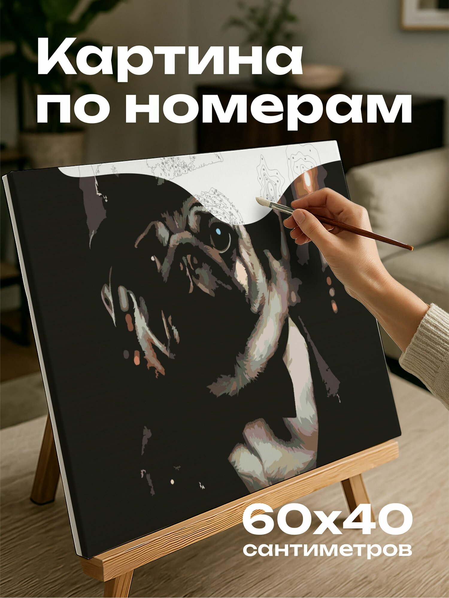 Картина по номерам 60x40 см, мопс, живая фотография, гламурный наряд, уверенная поза, жизнерадостное поведение, идол