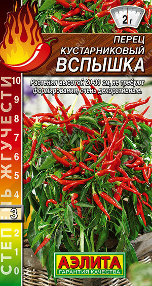 Перец кустарниковый Вспышка